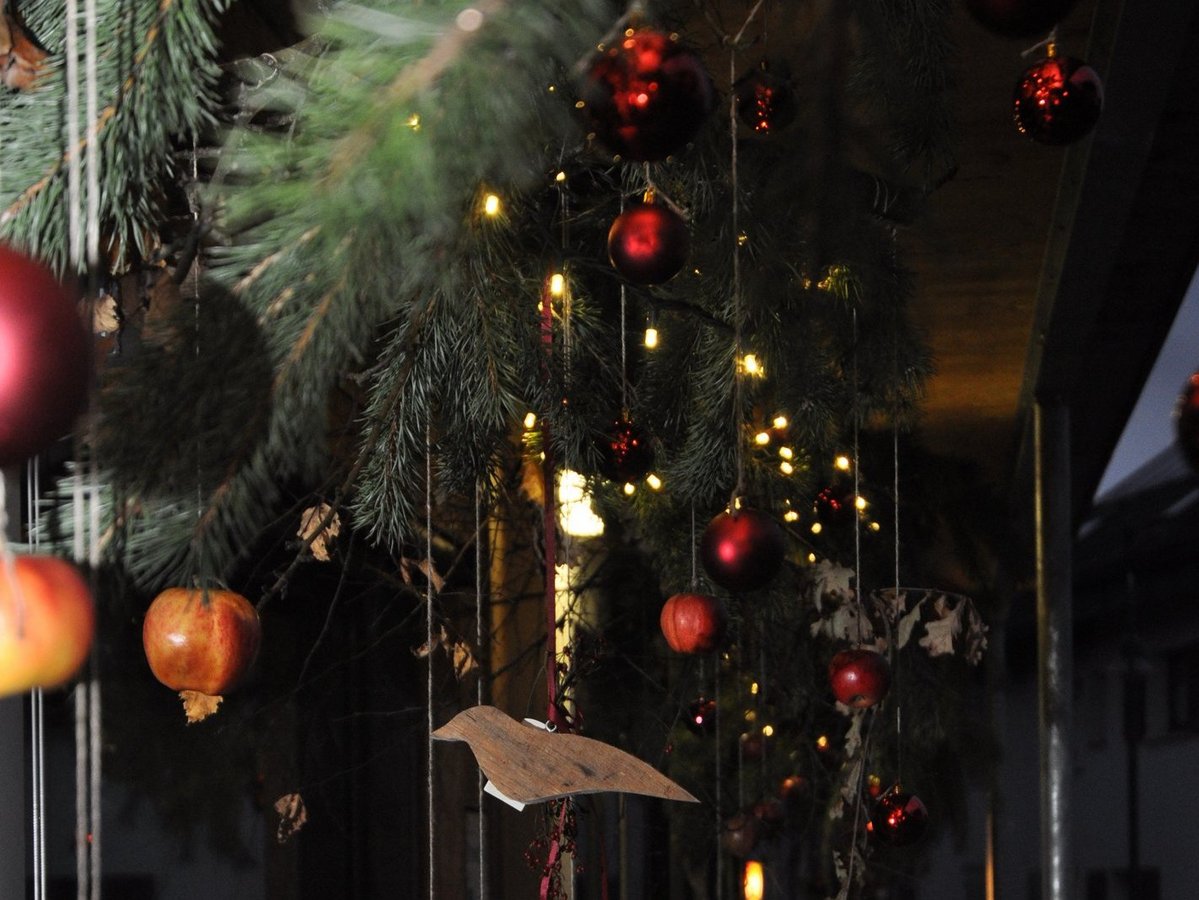 Gemeinde Göfis 24 Adventfenster in Göfis